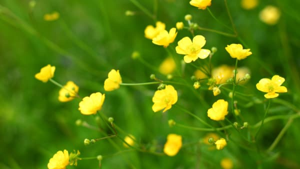 Meet Our Team – Outside Lives Ltd