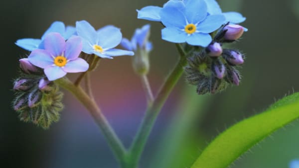 Meet Our Team – Outside Lives Ltd