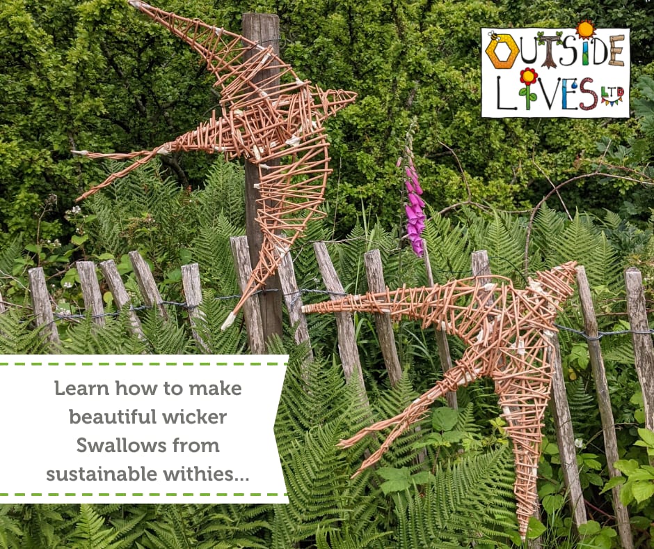 Volunteering With Ol – Outside Lives Ltd