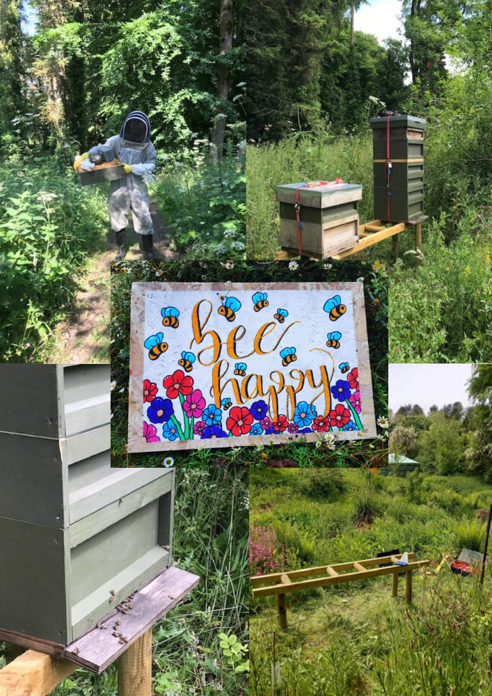 BEE HAPPY – Outside Lives Ltd